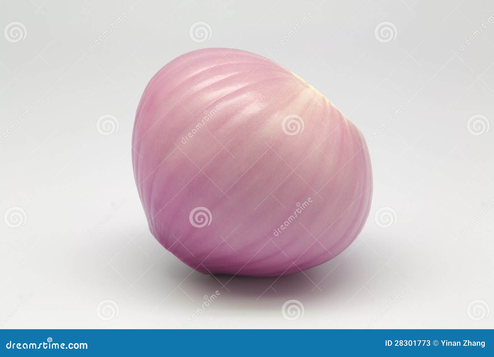 Onion stock image. Image of studio, artificial, light - 28301773