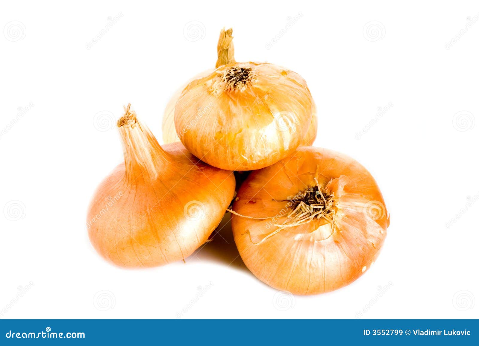 Onion stock image. Image of board, nutrients, natural - 3552799