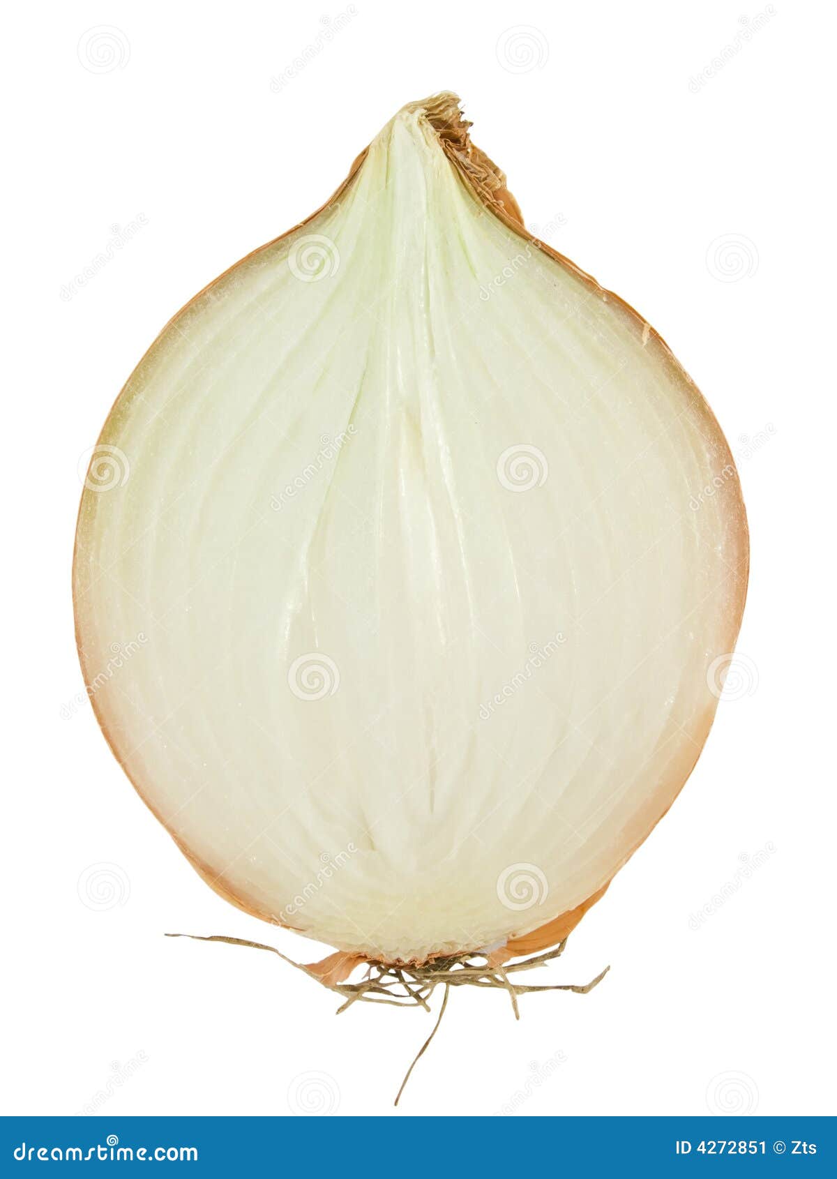 Onion stock image. Image of slices, onions, natural, isolated - 4272851