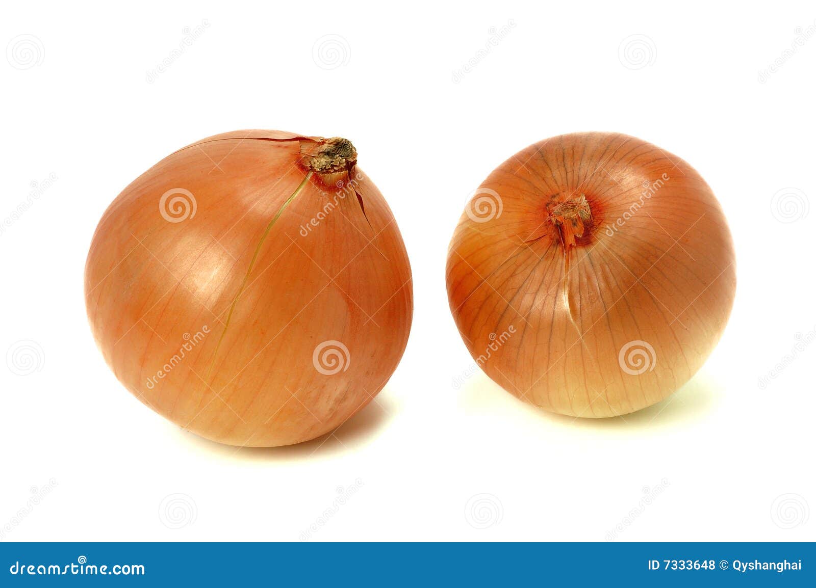 Onion stock photo. Image of vegetables, nutrition, yellow - 7333648