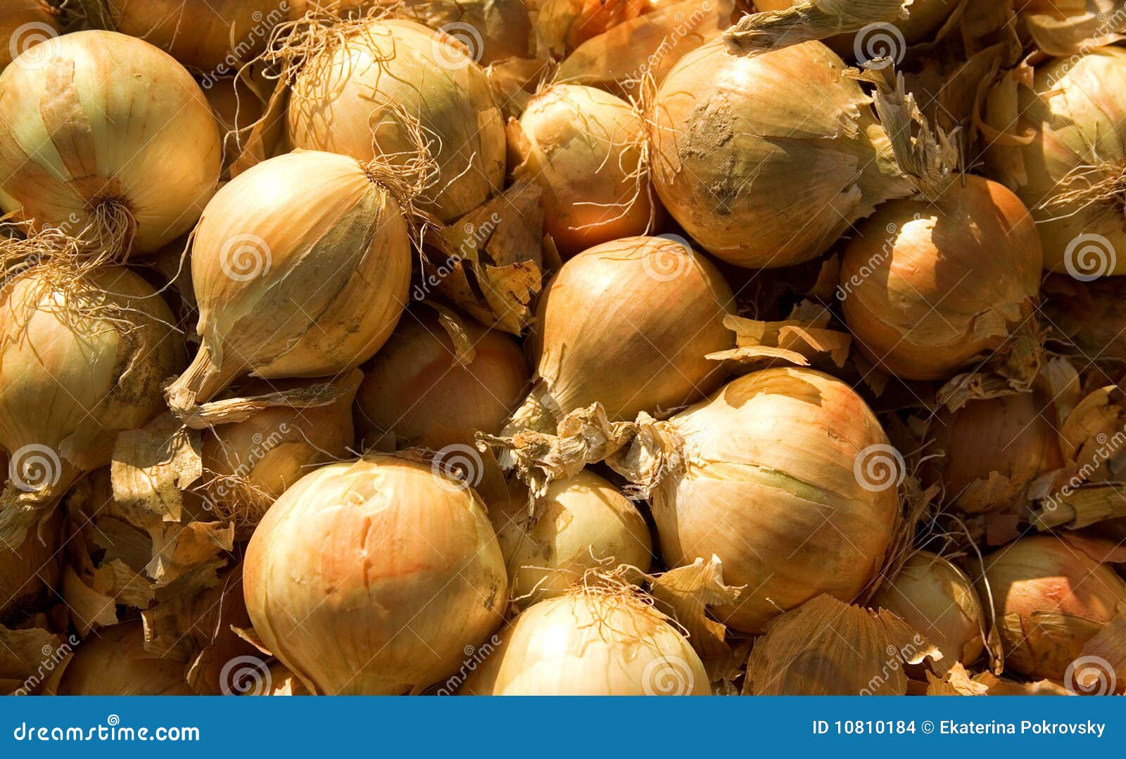 14,389 Many Onion Background Stock Photos - Free & Royalty-Free Stock ...