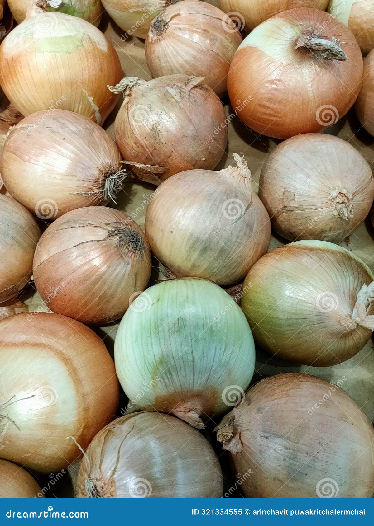 The Onion Background Abstract Wallpaper , Vegetable Stock Image - Image ...