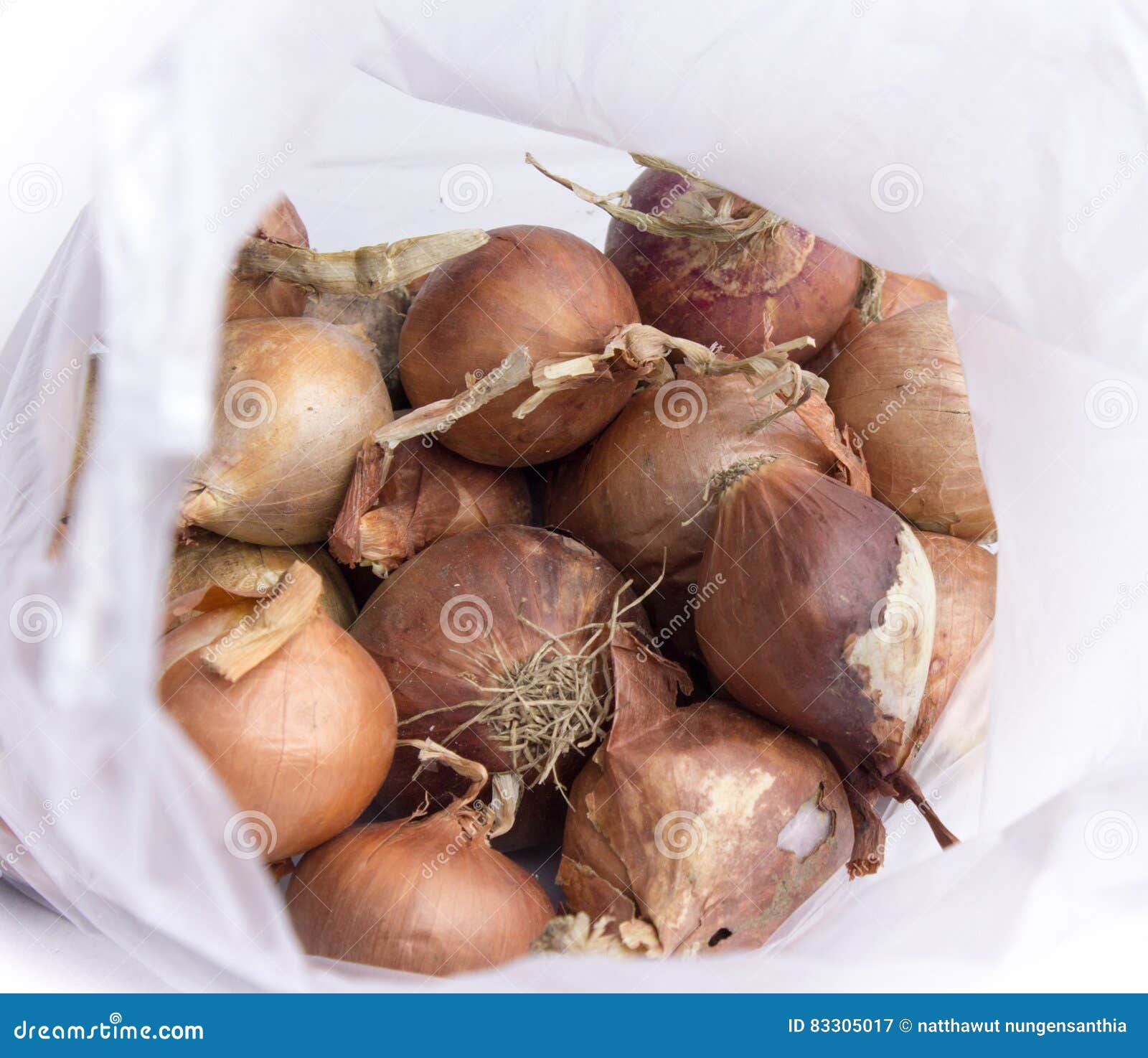 Onion Bag stock image. Image of vegetable, food, cooking - 83305017