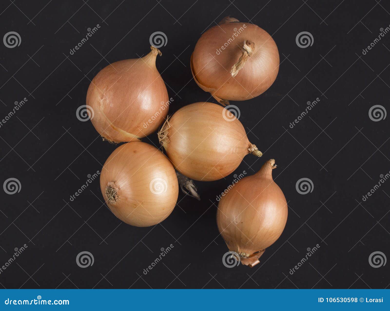 Onion on black paper stock photo. Image of gray, closeup - 106530598