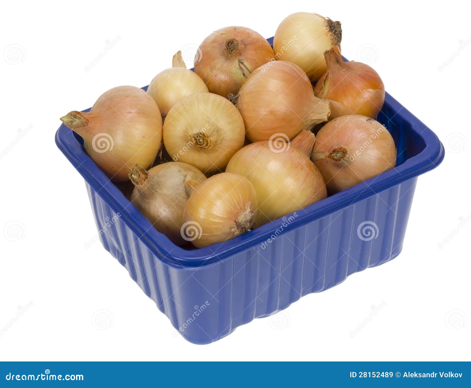 Onion in box stock image. Image of closeup, group, vegetarian - 28152489