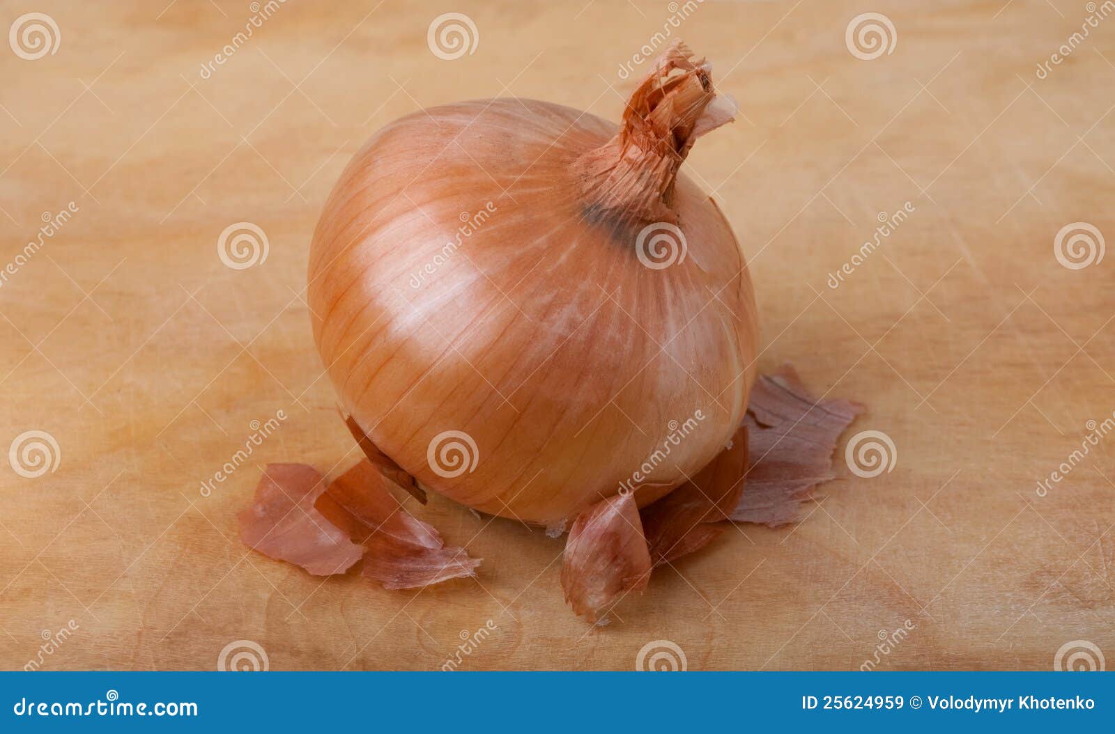 Onion bulb stock image. Image of gourmet, knife, natural - 25624959