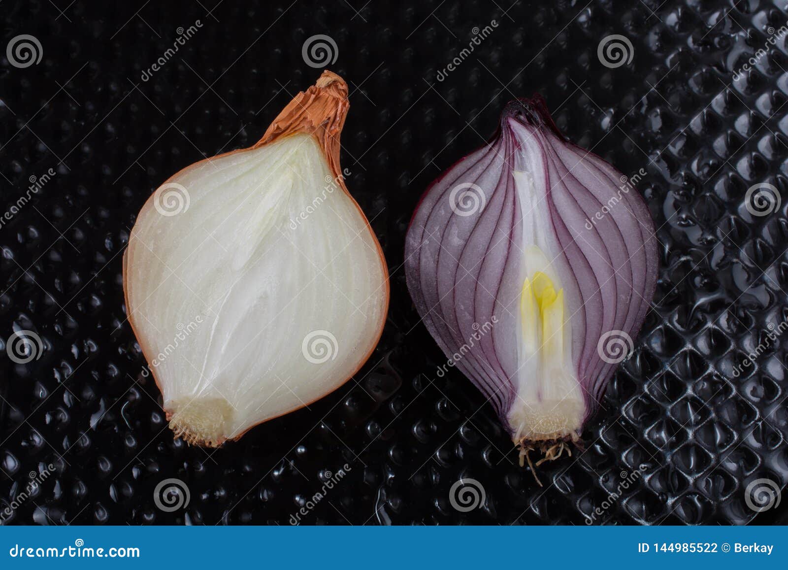 Onion Bulb Cut in Half on Background Stock Photo - Image of hand ...