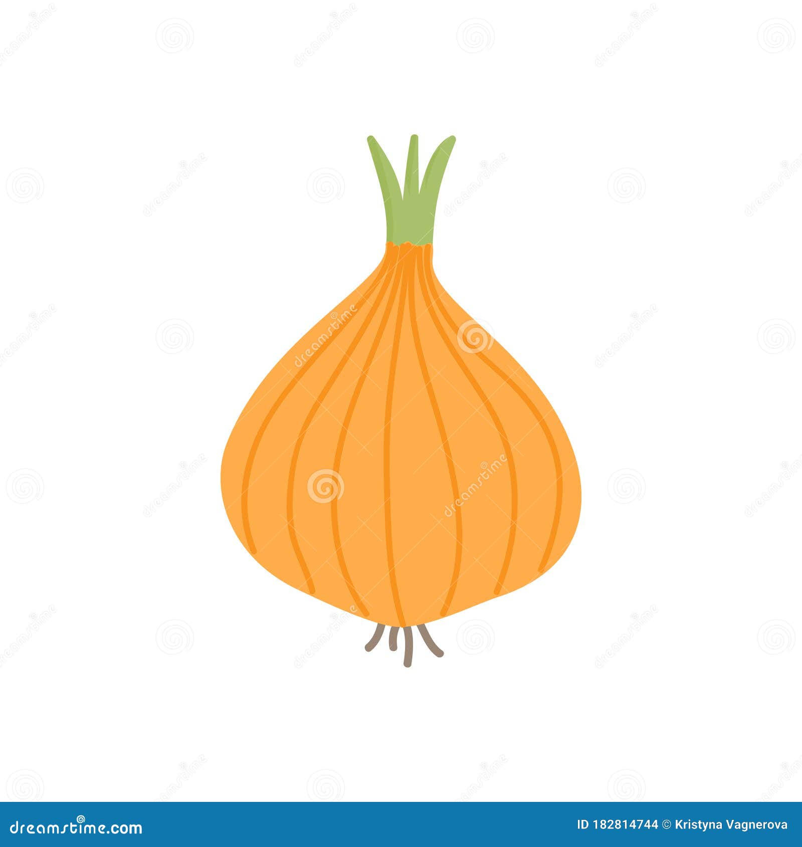 Onion Bulb Vector Illustration Icon Stock Vector - Illustration of ...