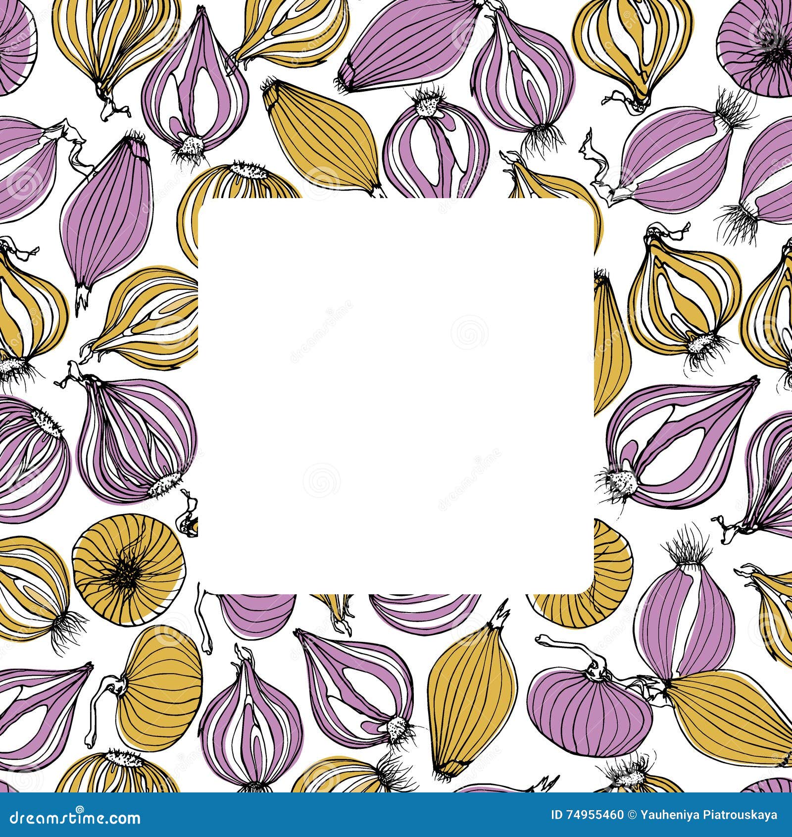 Onion bulbs card stock vector. Illustration of graphic - 74955460