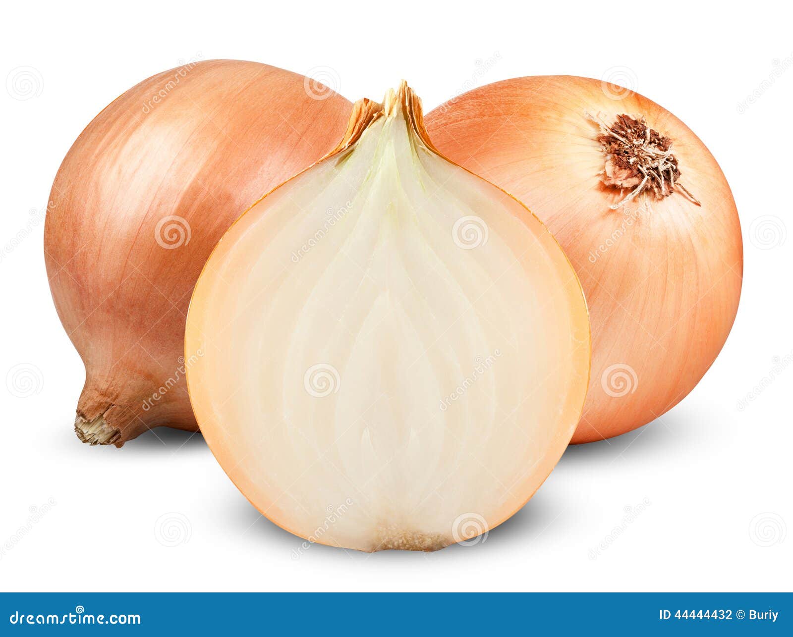 Onion bulbs stock photo. Image of isolated, onion, seasoning - 44444432