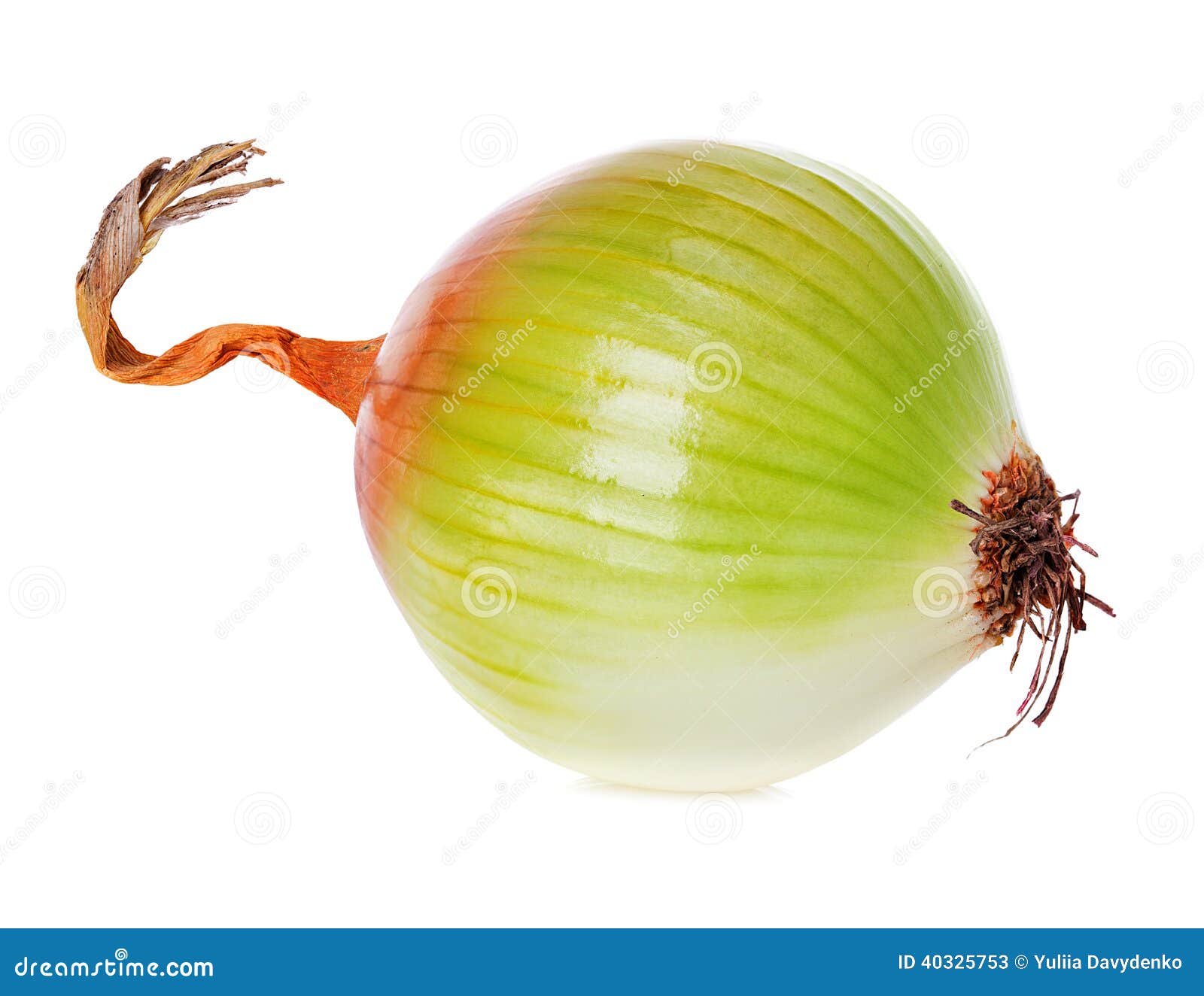 Onion close-up stock image. Image of bulb, green, organic - 40325753