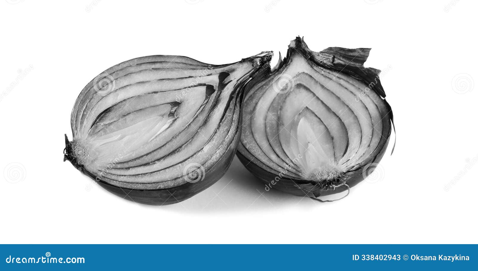 Onion Cut in Half on White Background Close-up Stock Image - Image of ...