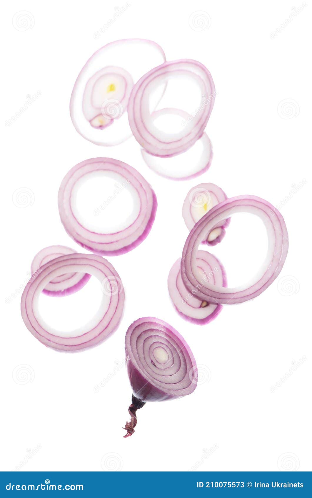 Onion Cut into Rings Drops on White Background Stock Image - Image of ...