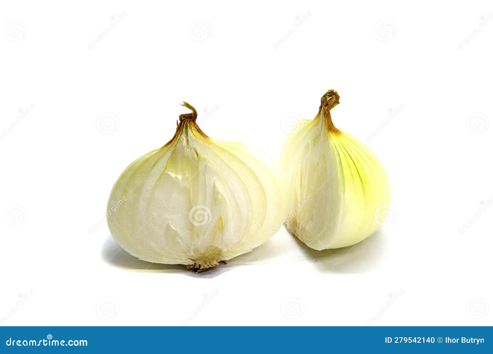 Onion Cut into Two Parts on a White Stock Photo - Image of organic ...