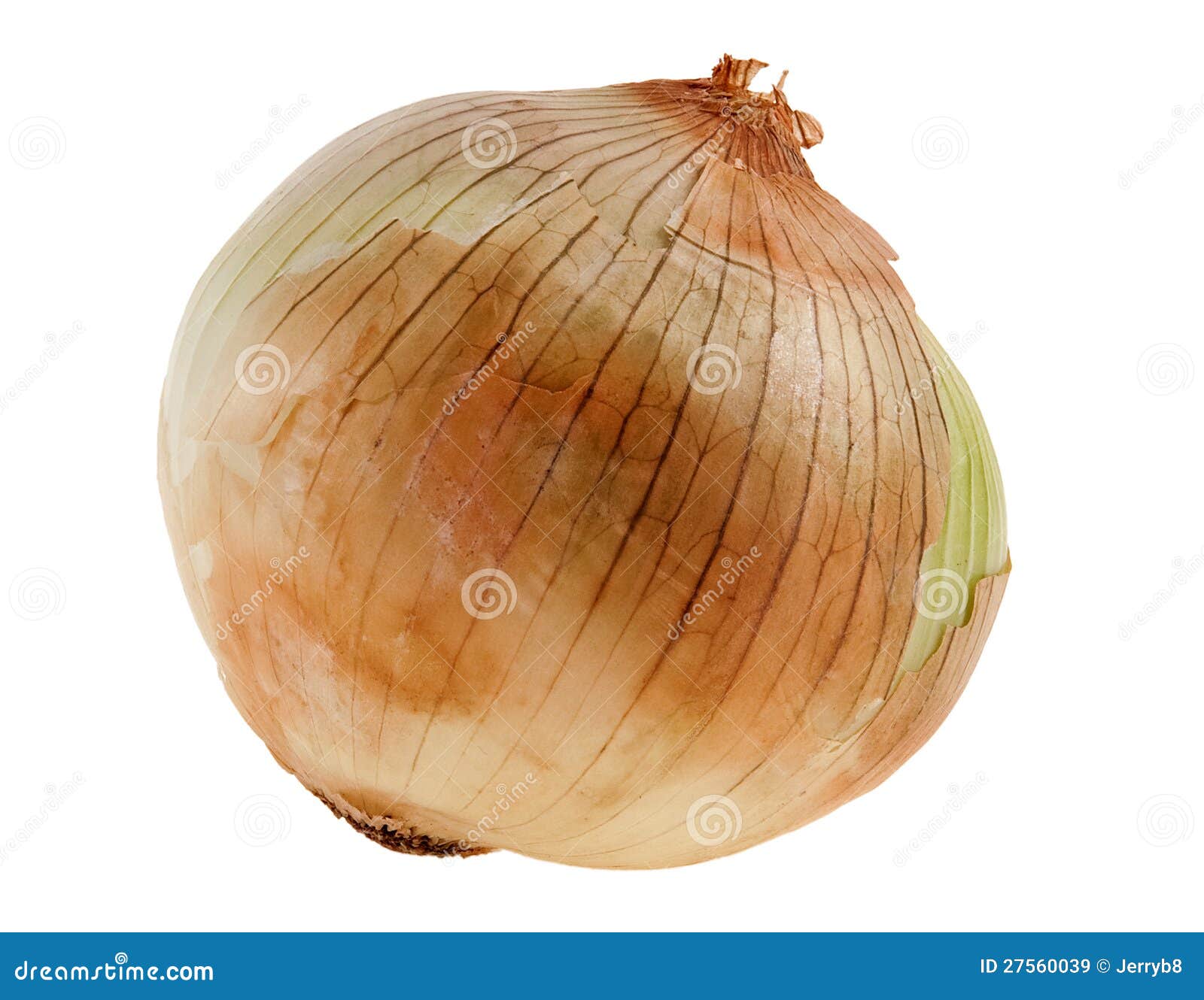 Onion Dry Skin stock image. Image of juicy, dieting, vegetable - 27560039