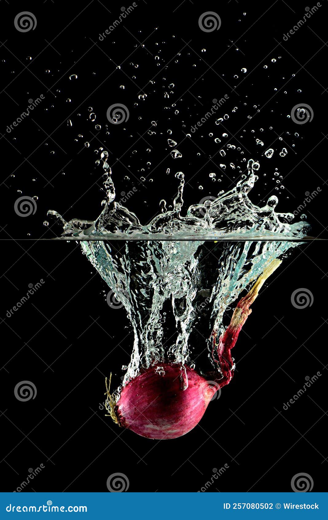 Onion Falling Into Water Splash On A White Background Royalty-Free ...