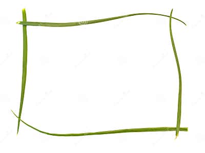 Onion frame stock image. Image of plant, healthy, leeks - 5671645