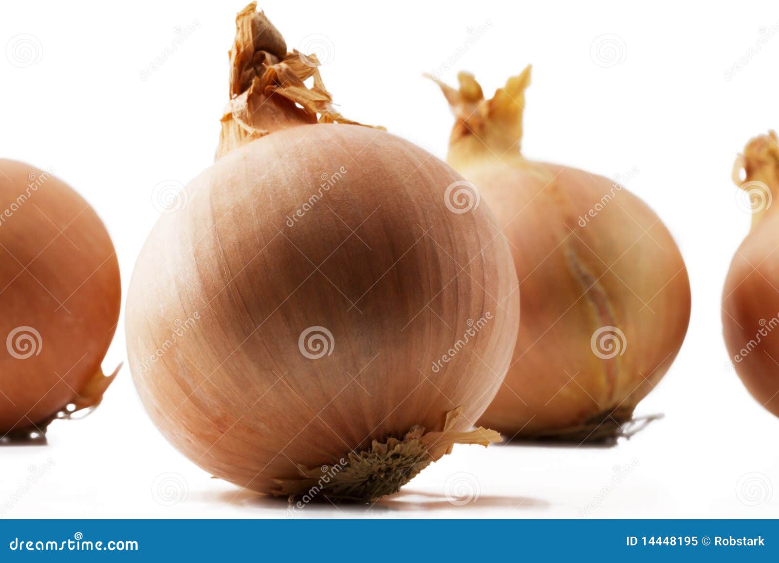 Onion in front of some stock image. Image of organic - 14448195