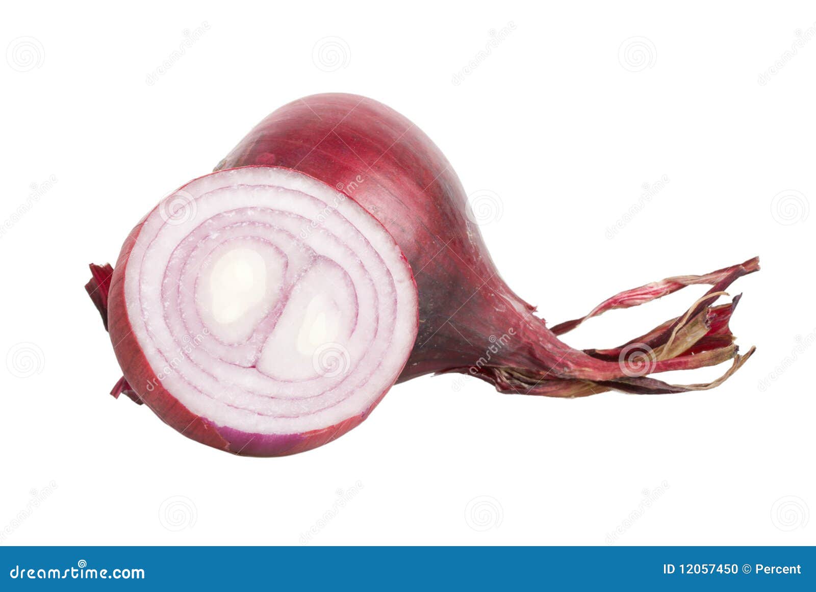 Onion full and peace stock photo. Image of onion, vegetable - 12057450
