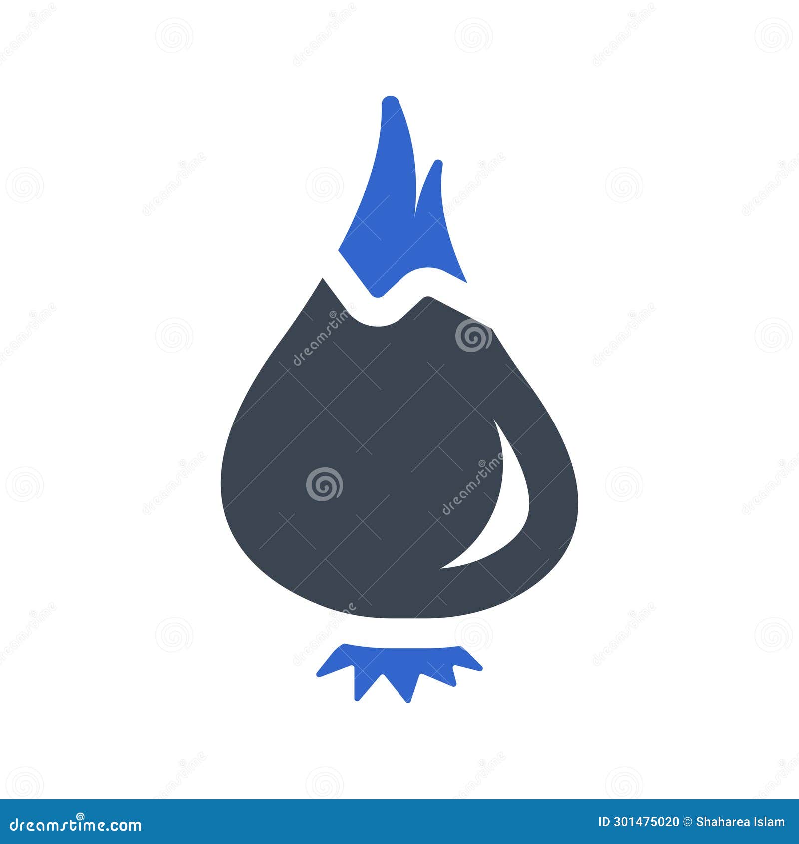 Onion Icon. Half And Full Slice Onion Isolated On White Background With ...