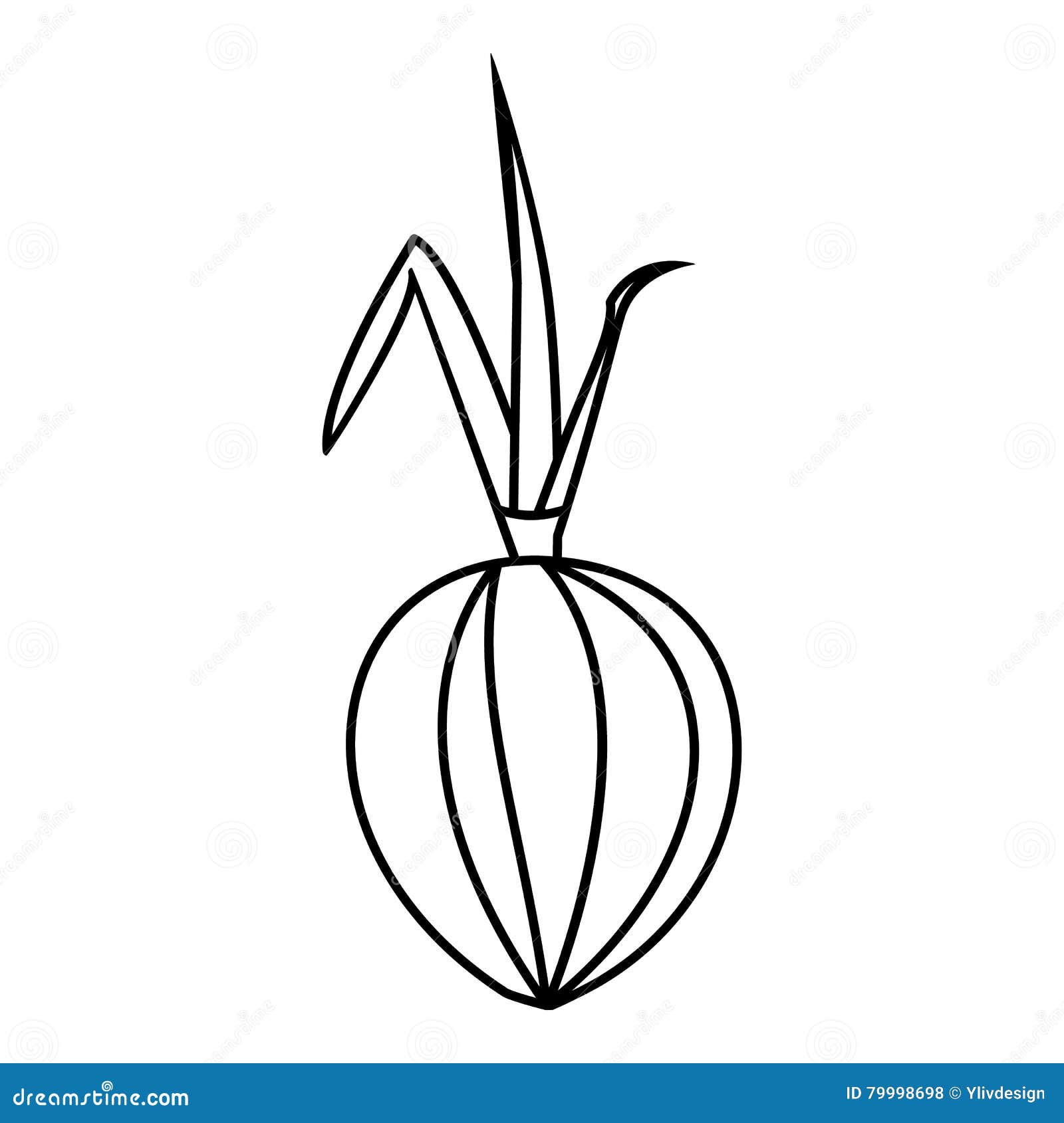 Onion icon, outline style stock vector. Illustration of food - 79998698