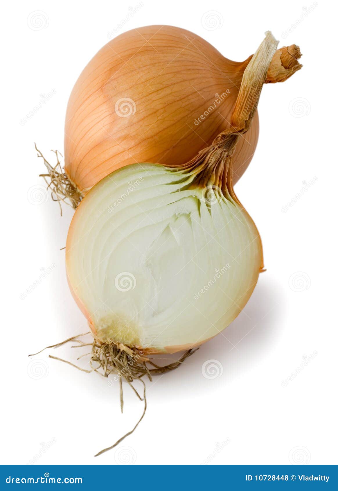 Onion isolated stock photo. Image of brown, bulb, close - 10728448