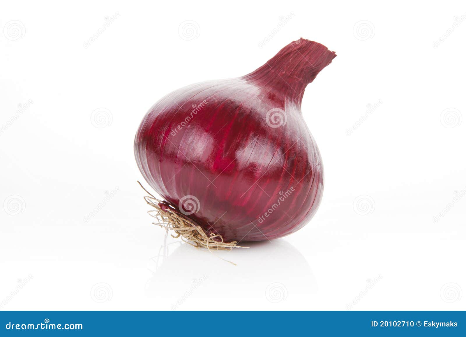Onion isolated. stock photo. Image of shot, healthy, ripe - 20102710