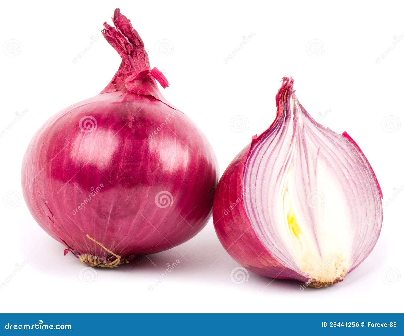 Onion isolated stock photo. Image of white, slice, spice - 28441256