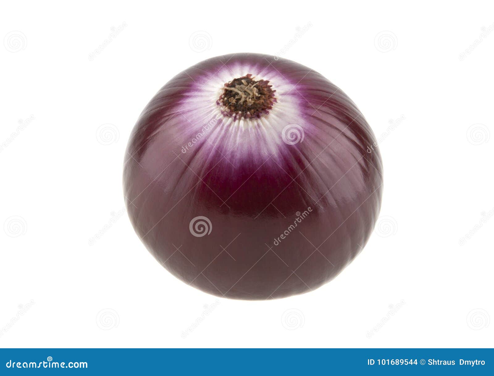 Onion isolated on white stock photo. Image of detail - 101689544