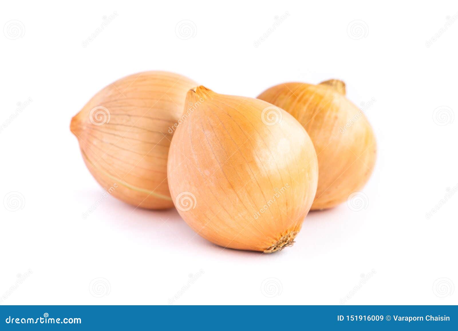 Onion Isolated on White Background Stock Image - Image of delicious ...