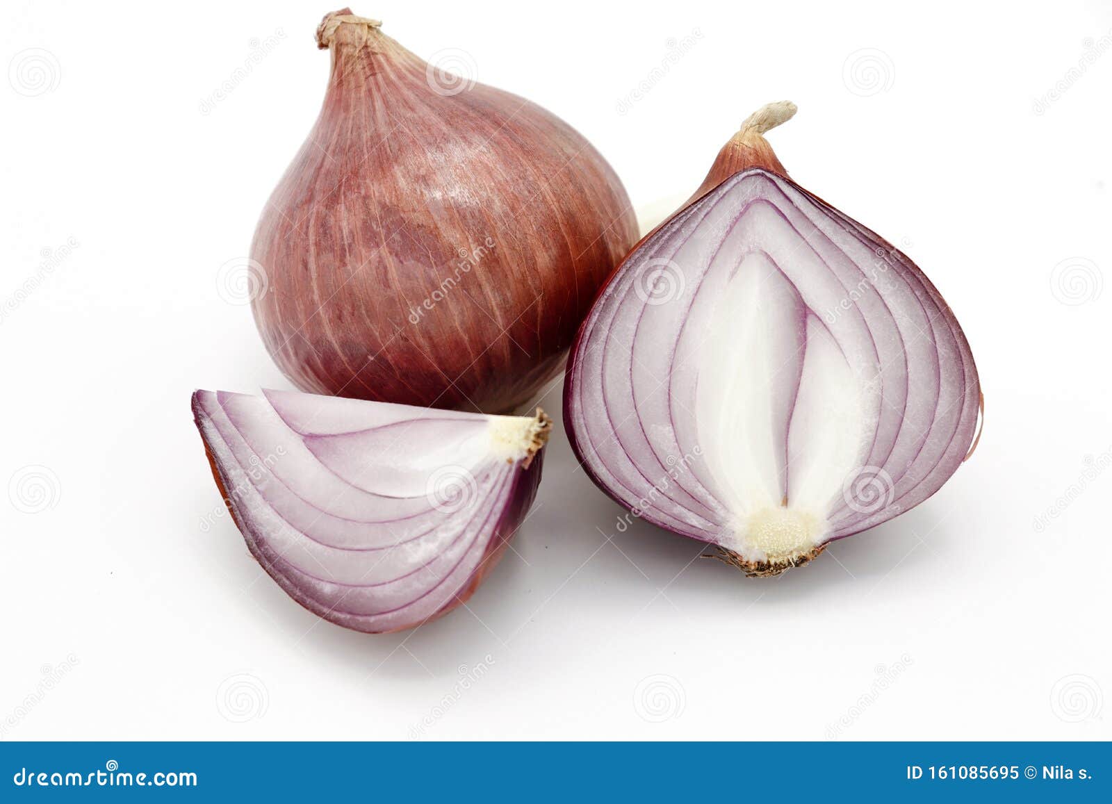 Onion Isolated on White Background Stock Image - Image of bulb, nature ...
