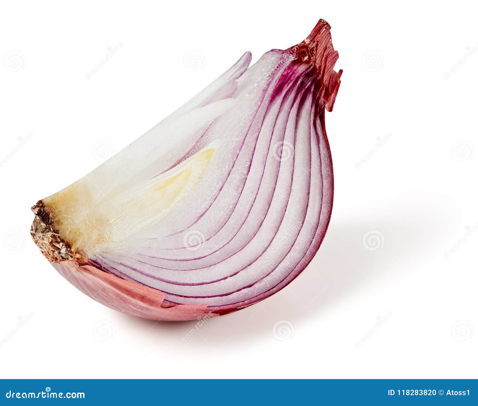 Onion Isolated on white stock photo. Image of peel, healthy - 118283820