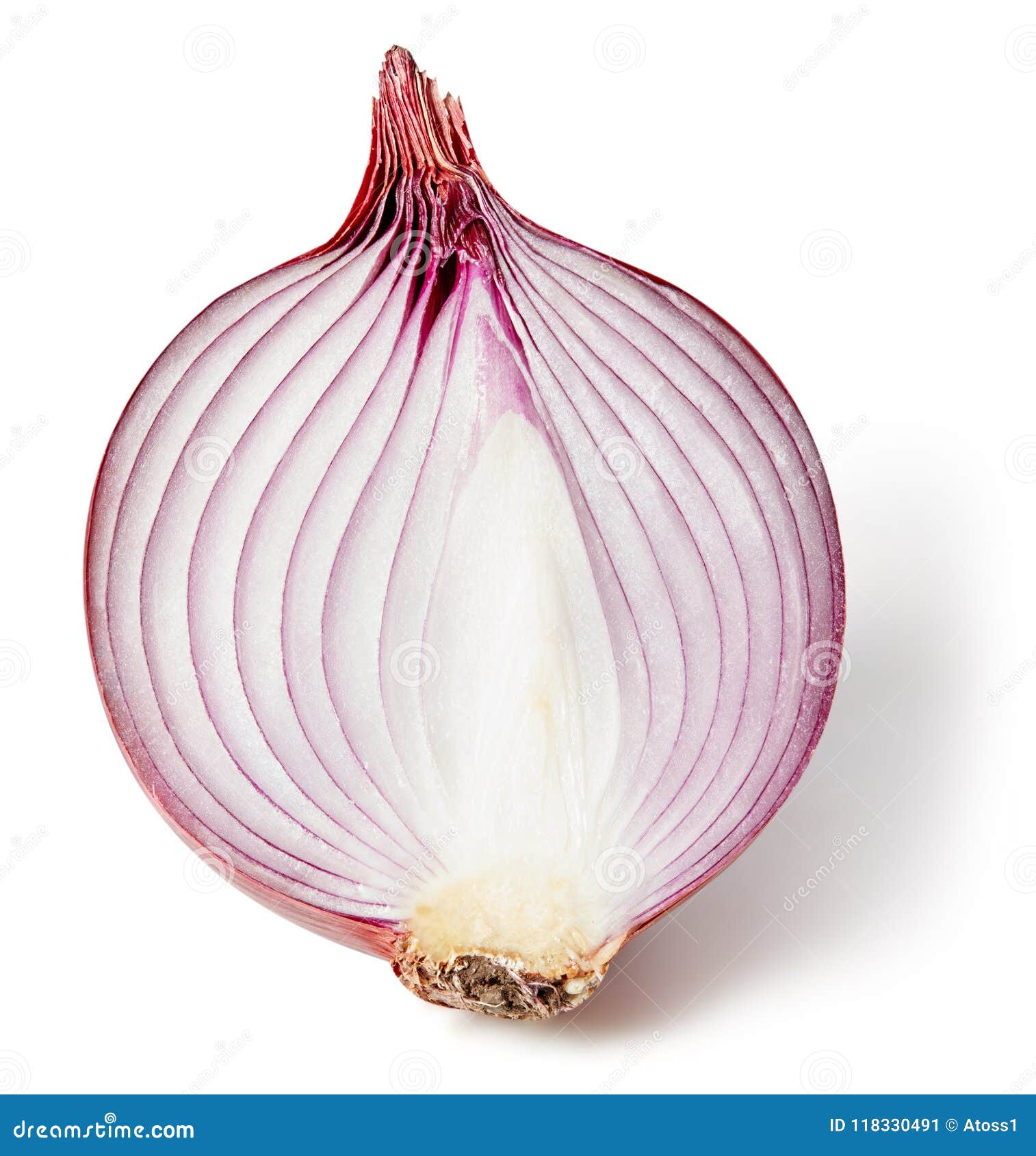 Onion Isolated on white stock image. Image of vegetable - 118330491