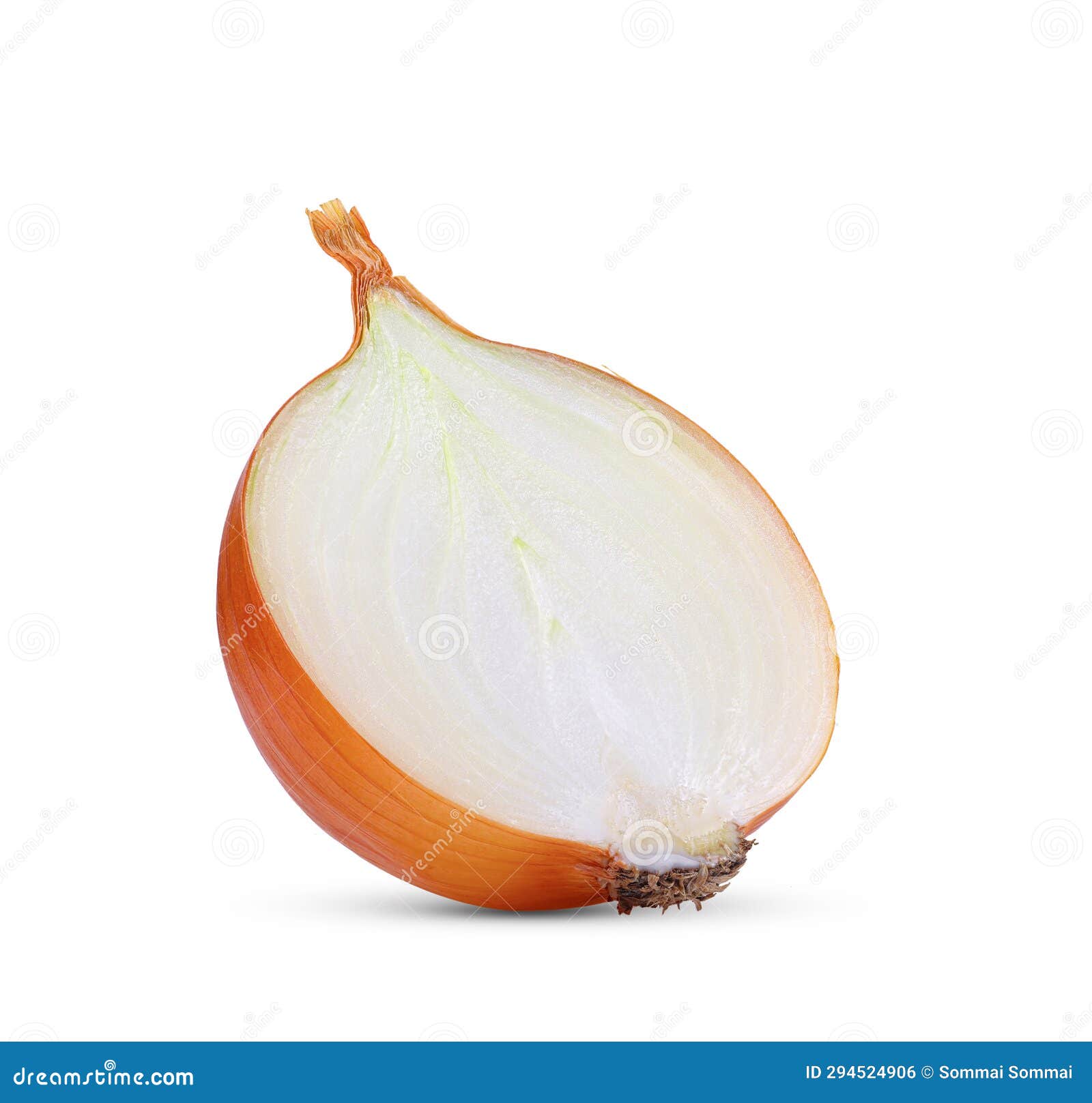 Onion isolated on white stock photo. Image of healthy - 294524906