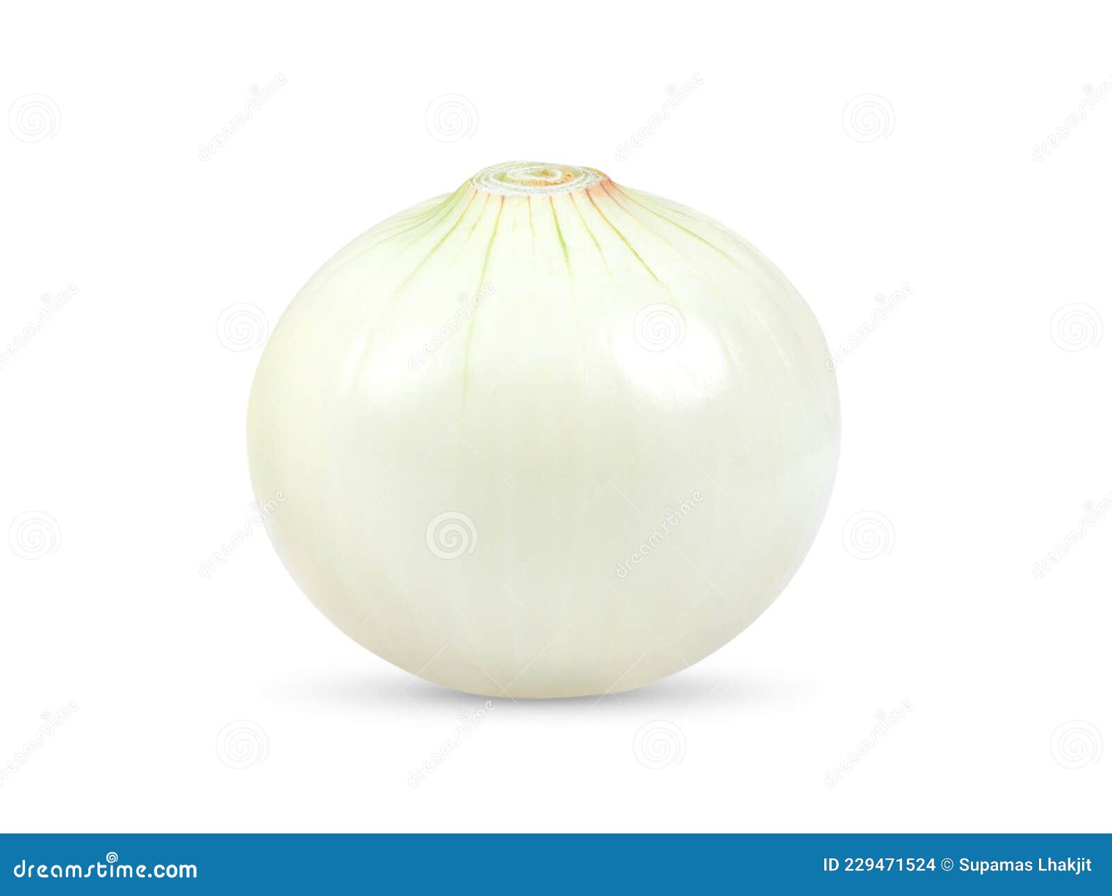 Onion on white background stock photo. Image of vegetarian - 229471524