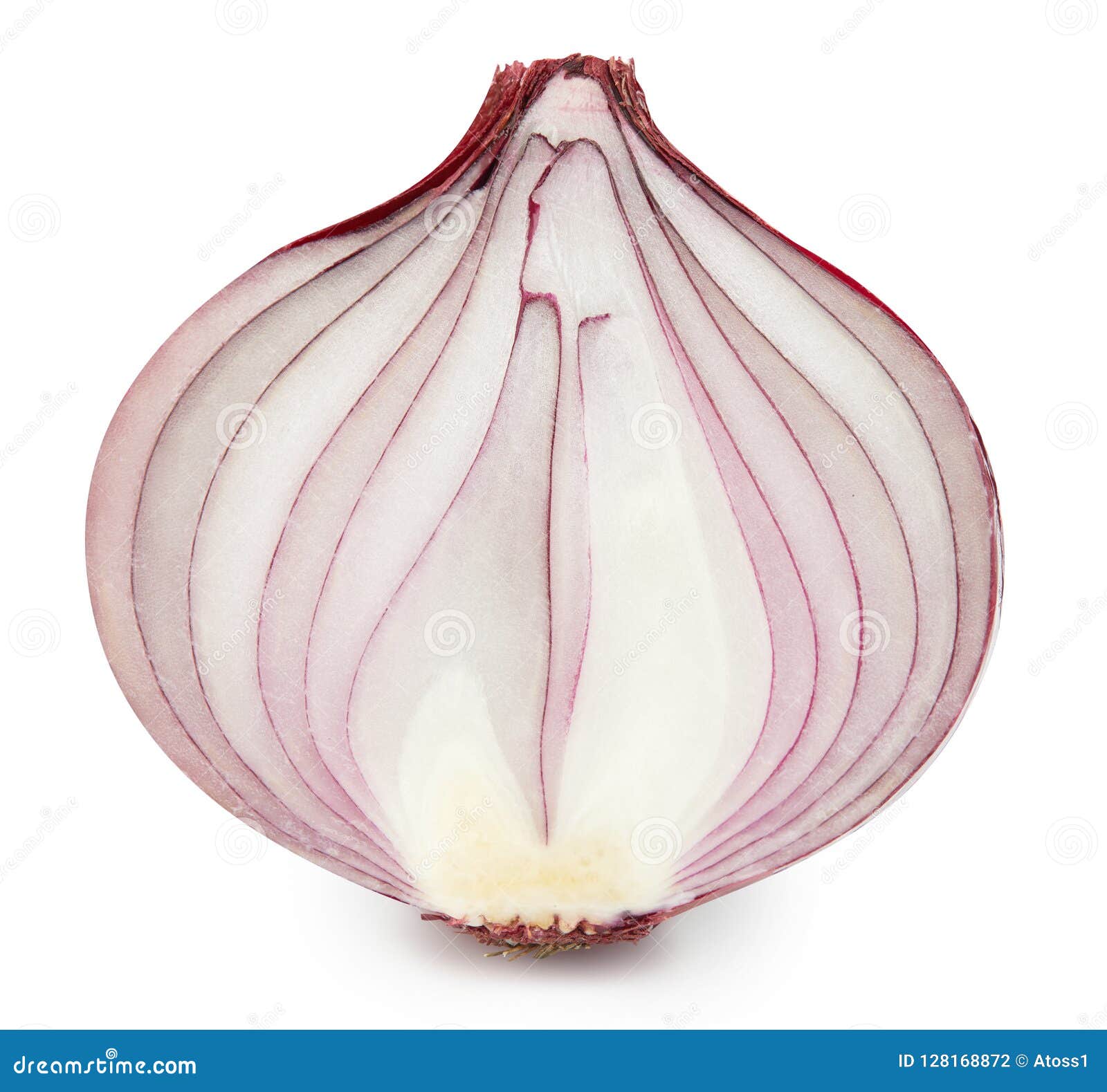 Onion Isolated on white stock photo. Image of vegetable - 128168872