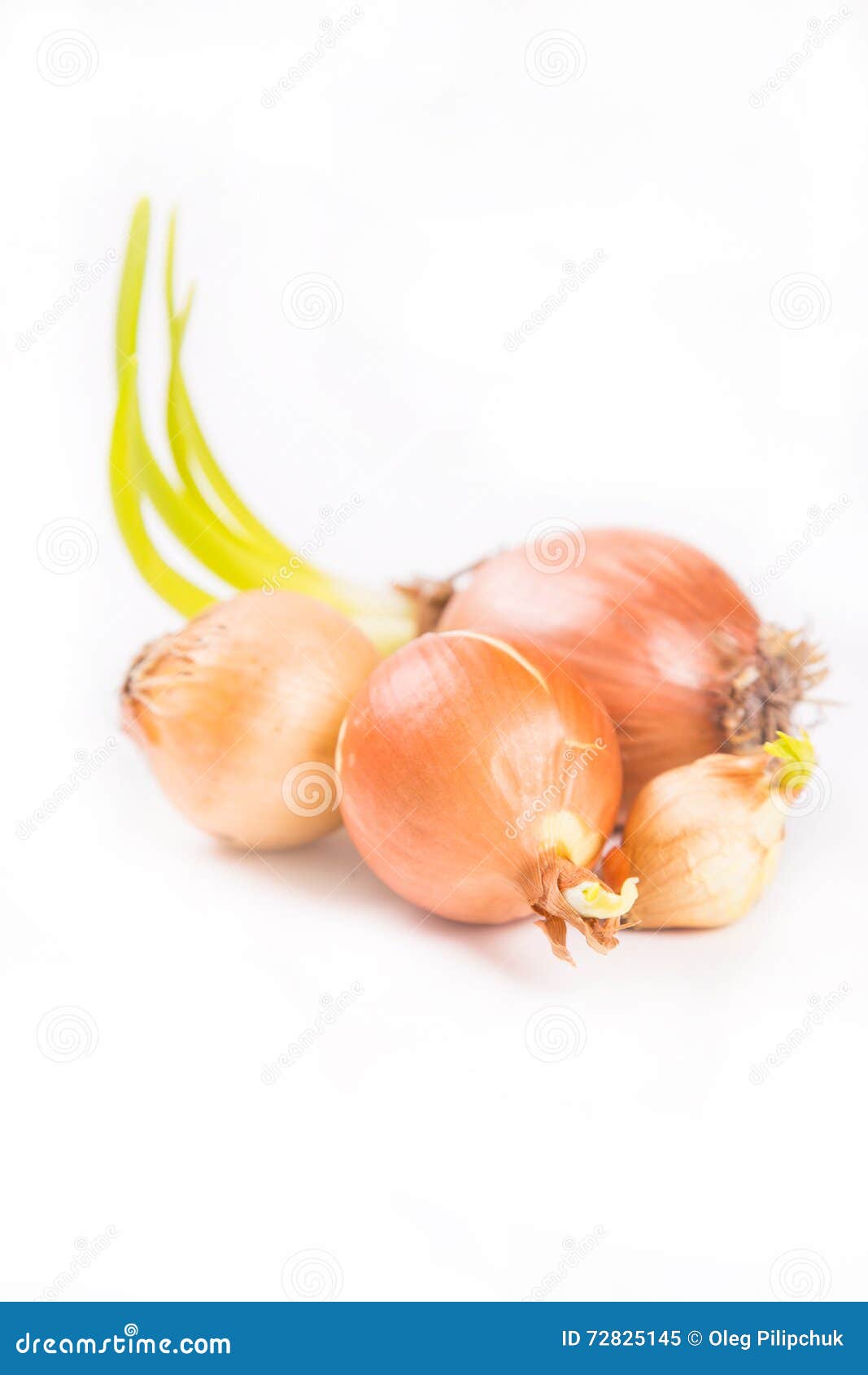 Onion isolated on white stock image. Image of juicy, culinary - 72825145