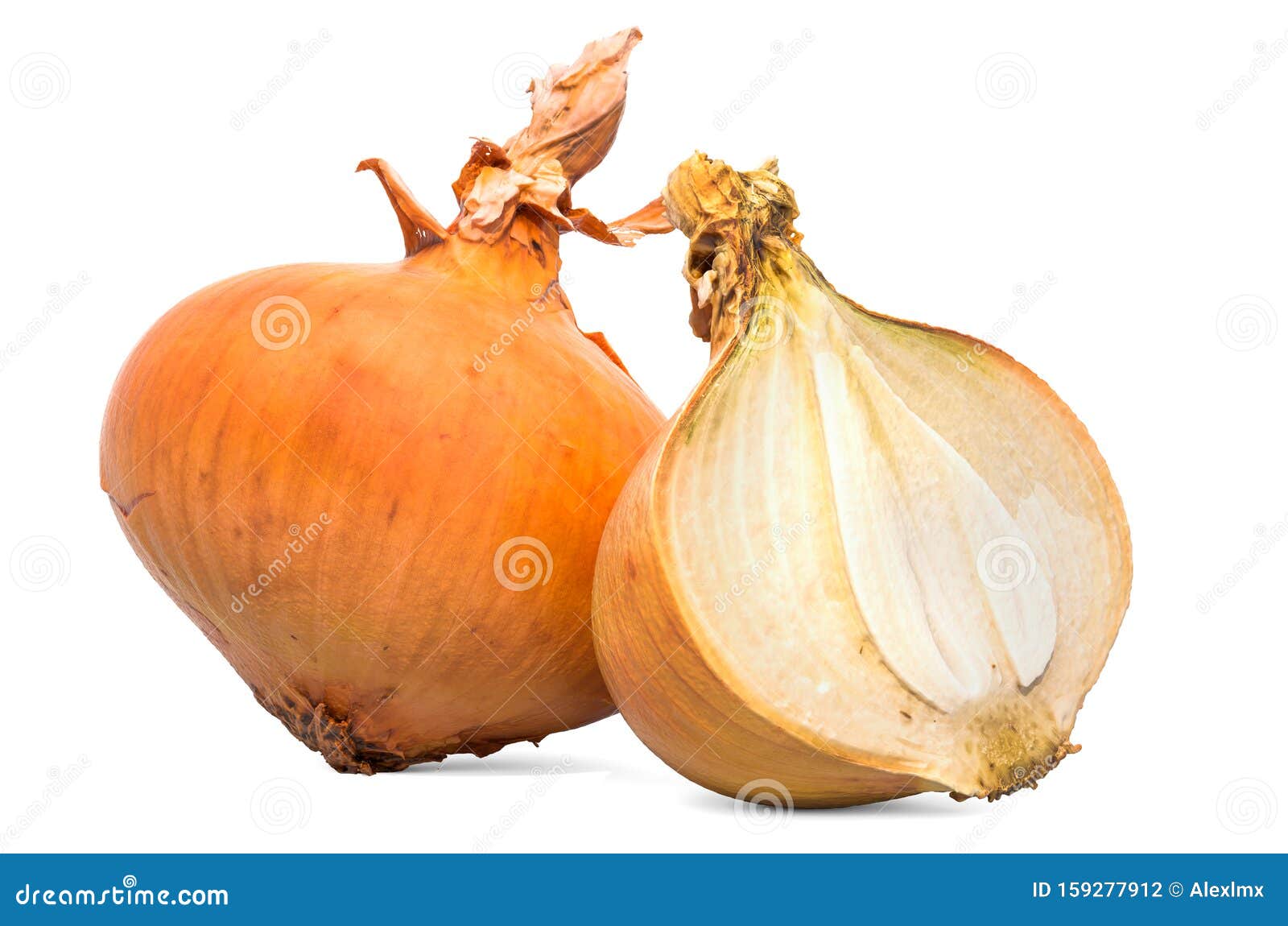 Onion And Its Cross-section 3d Rendering With Realistic Texture Stock ...