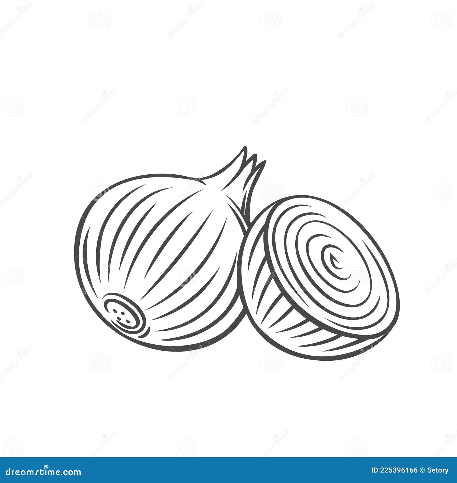 Onion Outline