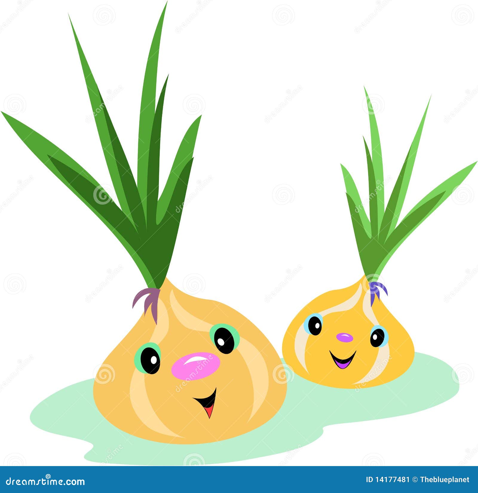 Onion Pair stock vector. Illustration of clip, edible - 14177481