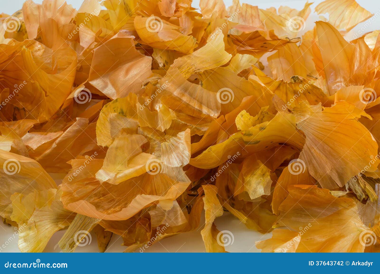 Onion peel stock photo. Image of color, onions, hulls - 37643742