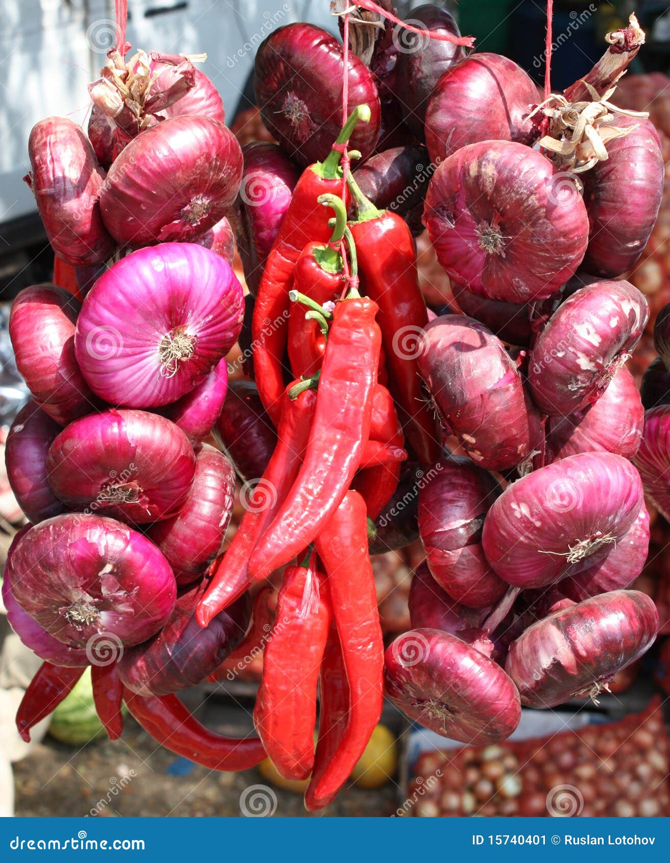 Onion and Pepper stock image. Image of backgrounds, freshness - 15740401
