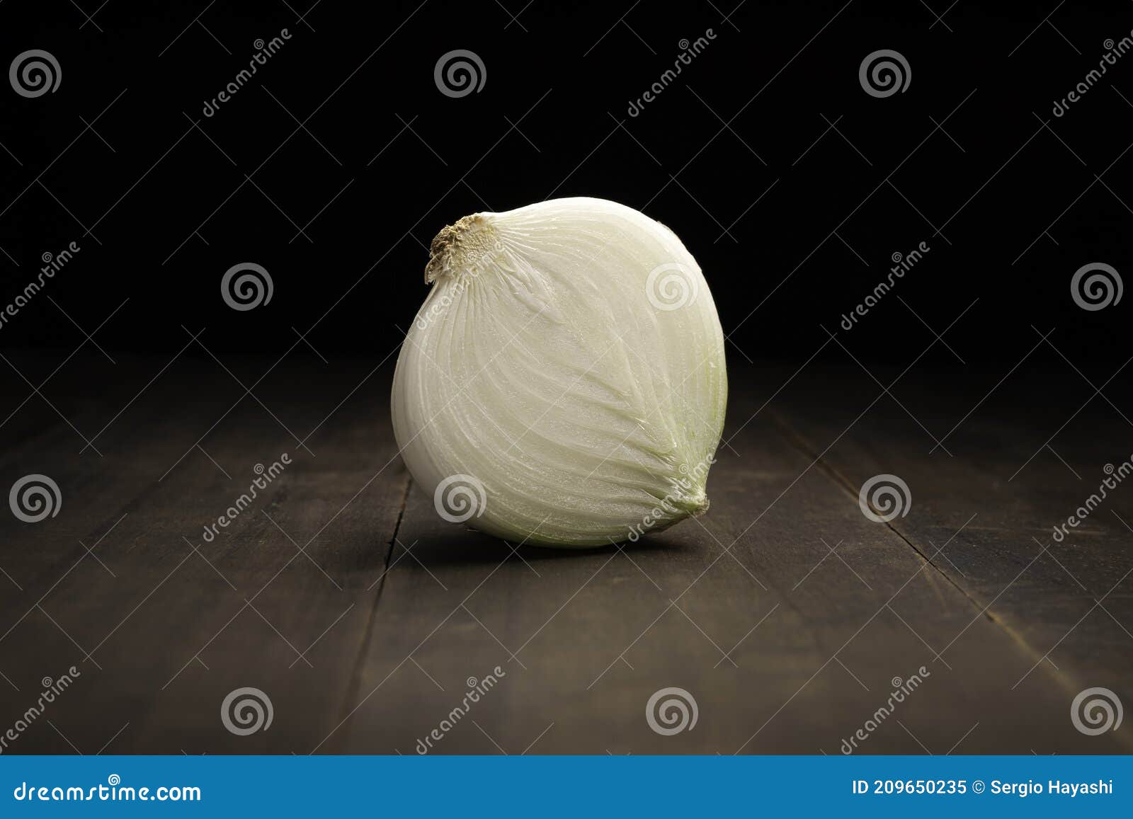 The onion portrait stock image. Image of full, fresh - 209650235