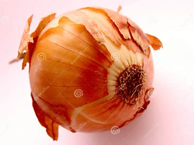 Onion in Red stock photo. Image of groceries, objects, concepts - 89064
