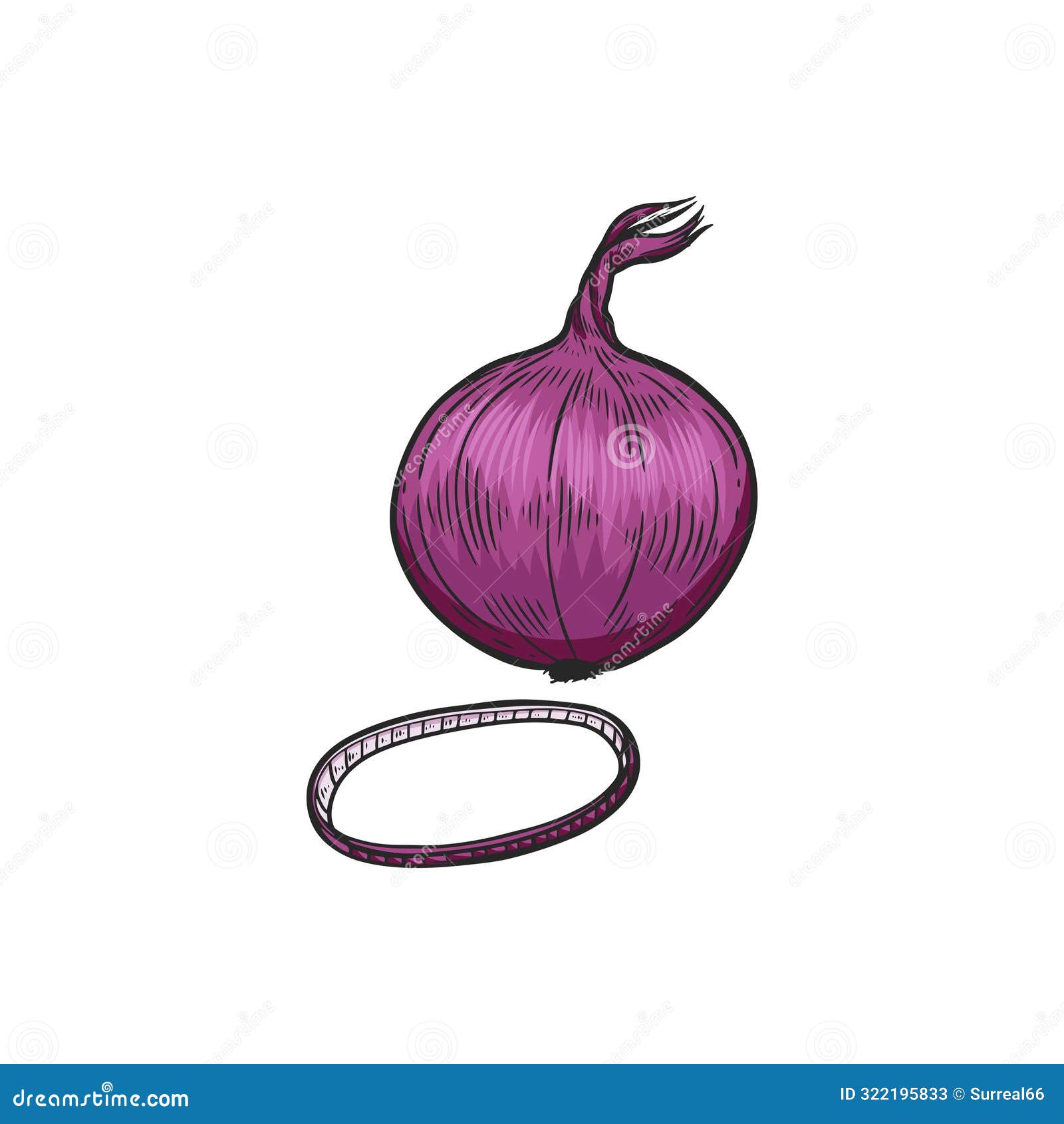Onion Ring Vegetable Line Drawing Vector Vintage Illustration Stock ...