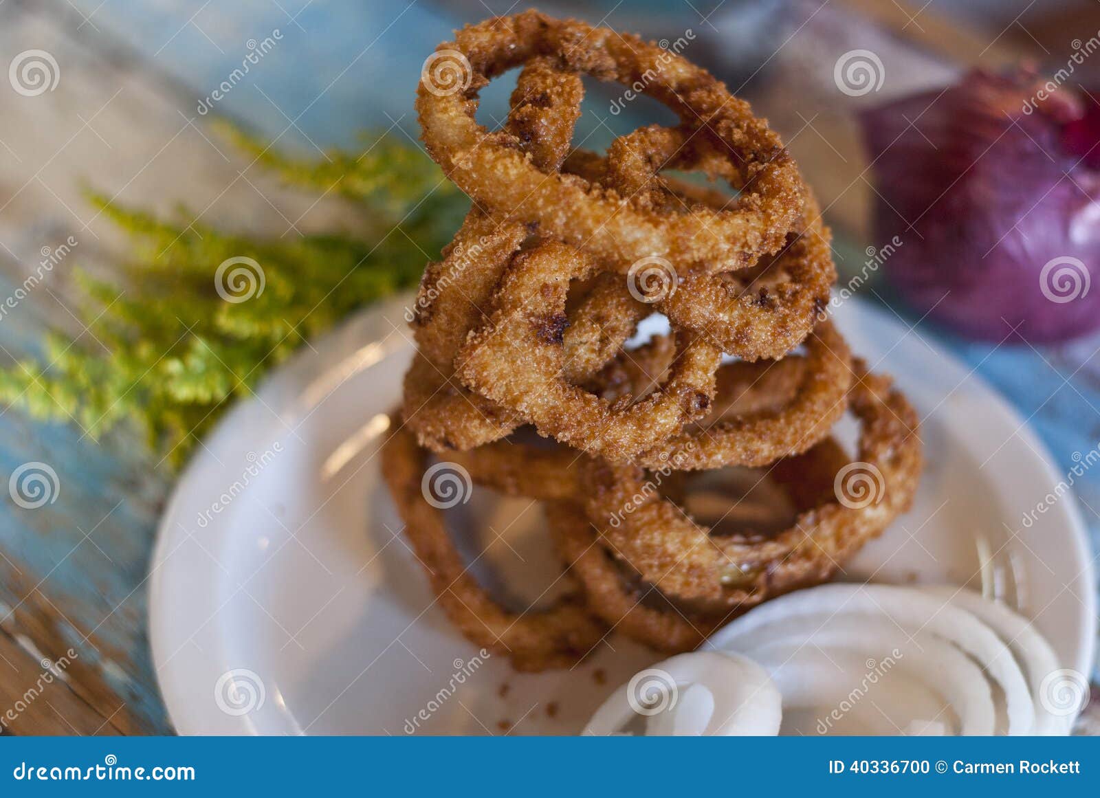 Onion Rings stock photo. Image of aqua, bturquoise, plate - 40336700