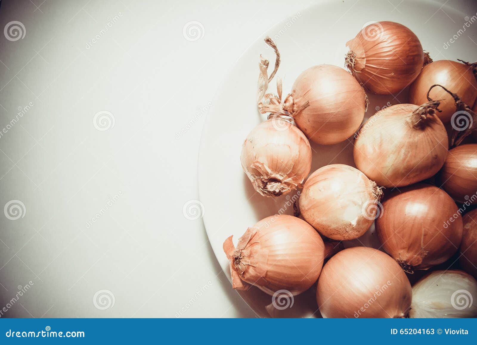Onion roots stock image. Image of diet, herbs, natural - 65204163