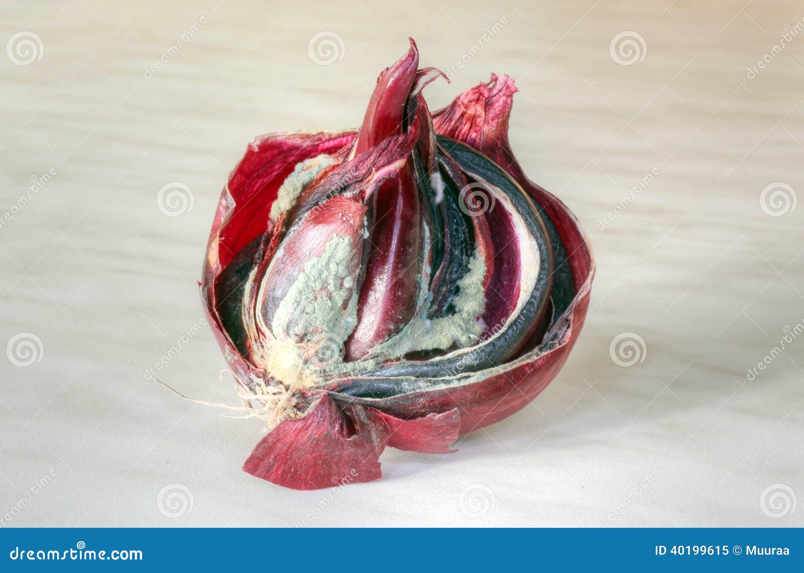 Onion with rot stock image. Image of object, mold, onion - 40199615