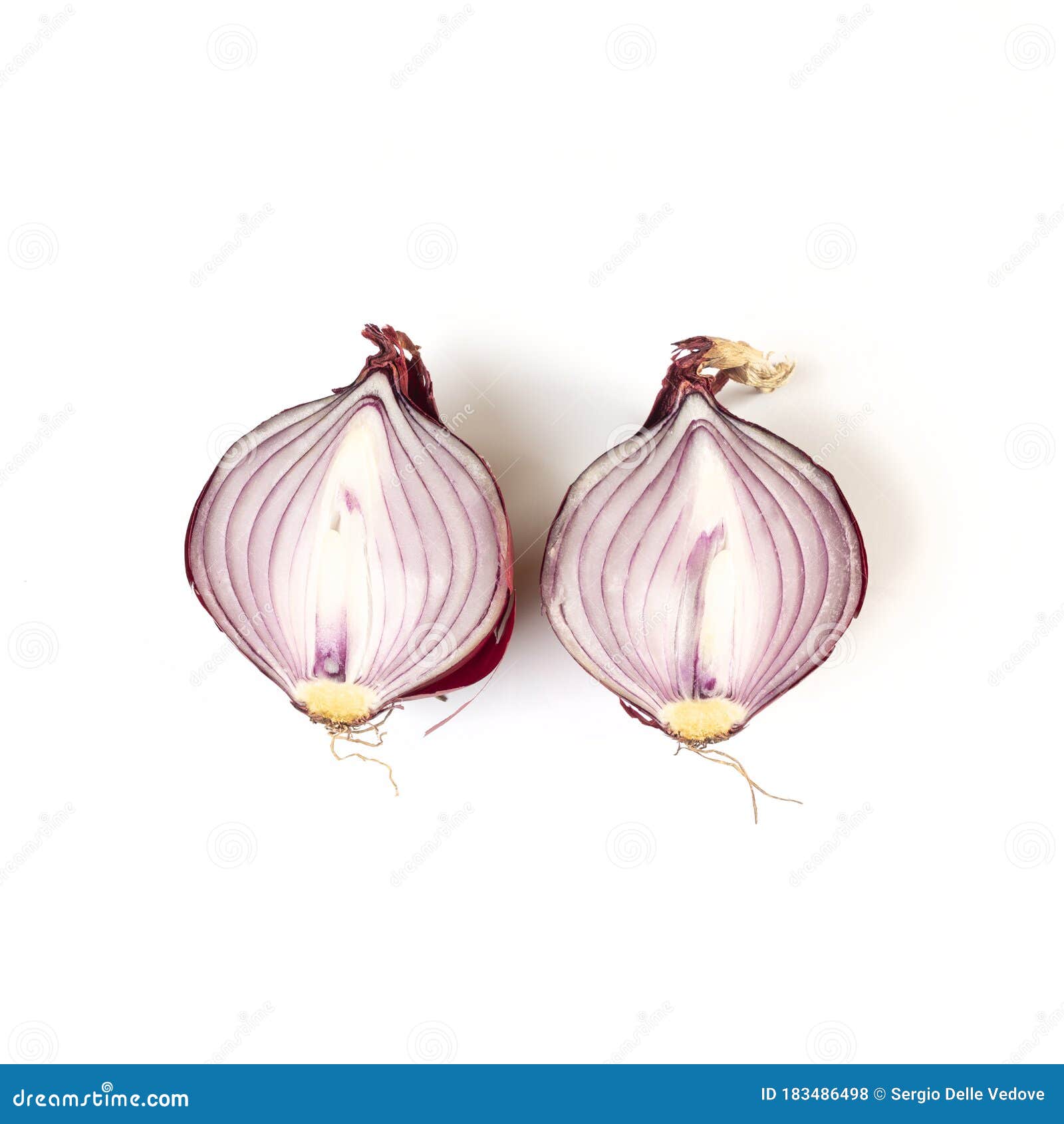 Onion`s evolution stock photo. Image of nutrition, diet - 183486498