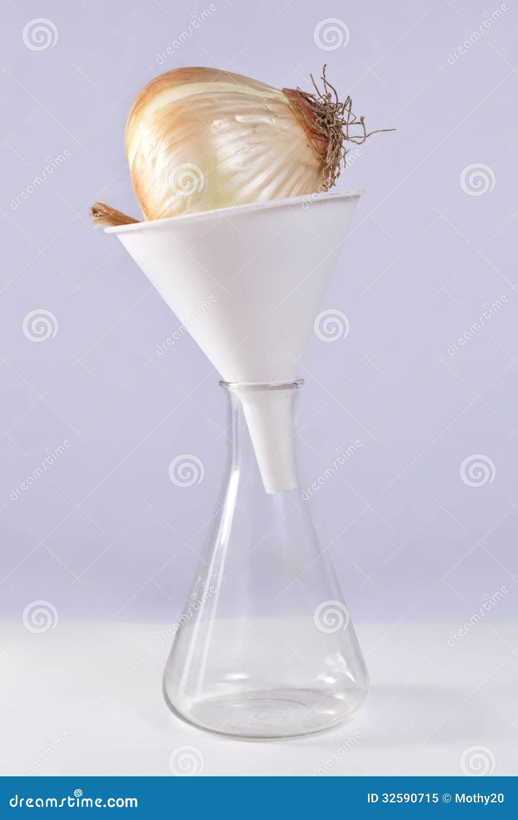 Onion Science stock image. Image of filtration, stillife - 32590715